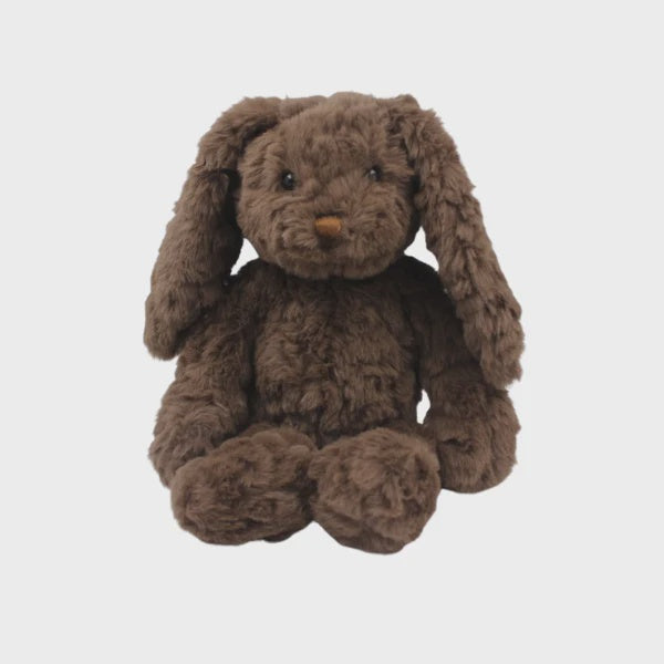PV Ruffles the Rabbit – Torquay Toys
